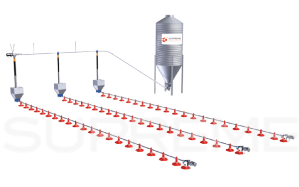 Automatic Pan Feeding System for Poultry-Supreme Equipments
