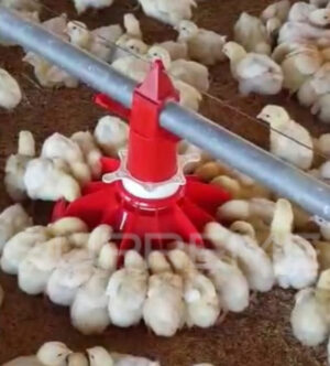 Automatic Pan Feeding System for Poultry-Supreme Equipments
